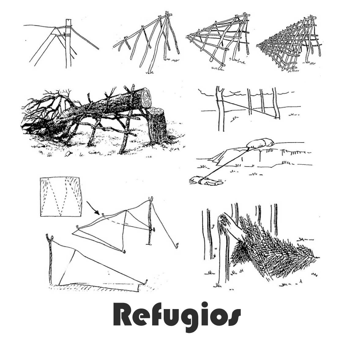 Guía Práctica para Construir Refugios Naturales – Erik el rojo