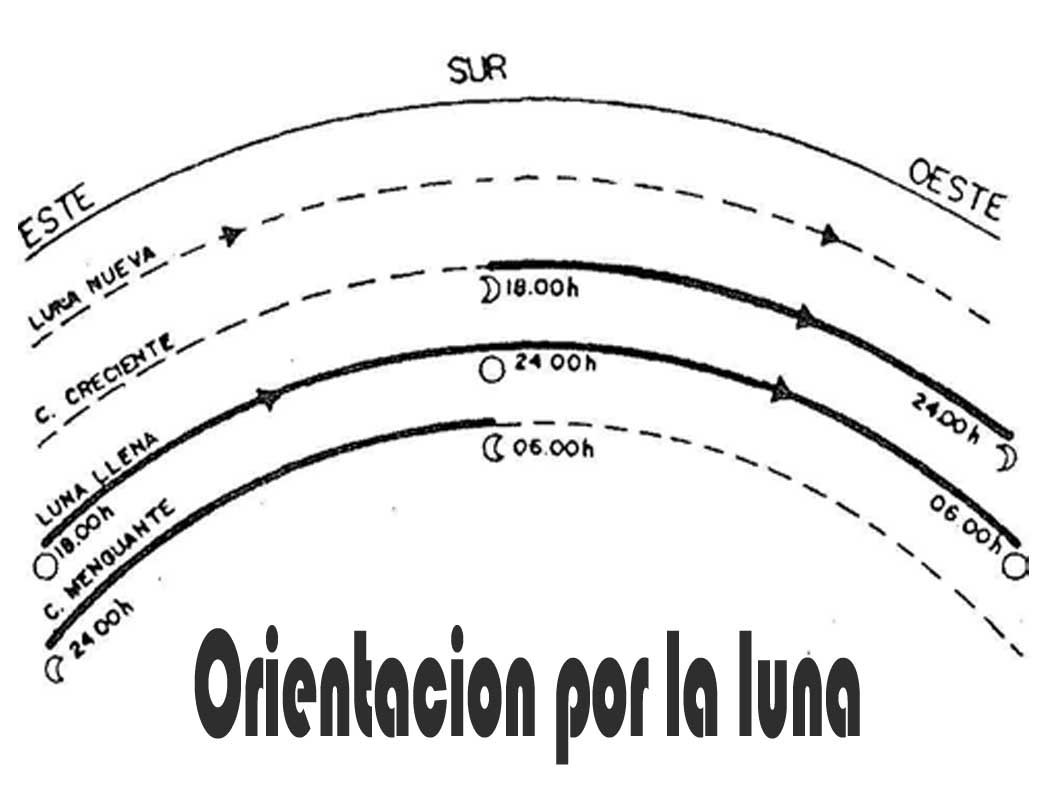 Usa la Luna para Orientarte: Guía de Fases Lunares – Erik el rojo