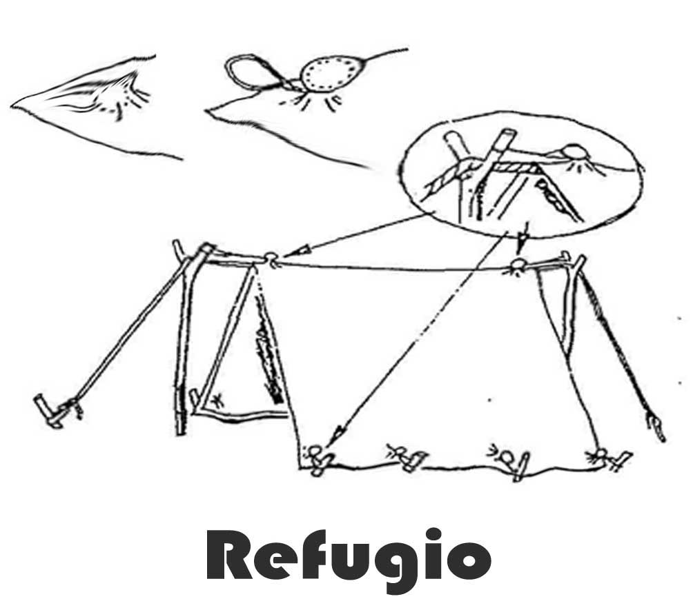 Consejos para Mejorar tu Refugio Natural – Erik el rojo