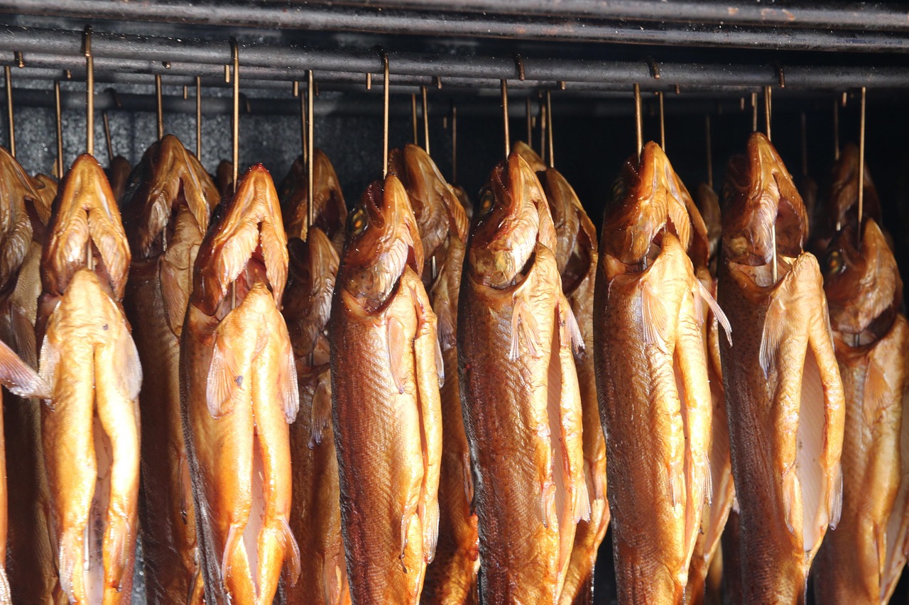 Guía Práctica para Ahumar Pescado en Supervivencia – Erik el rojo